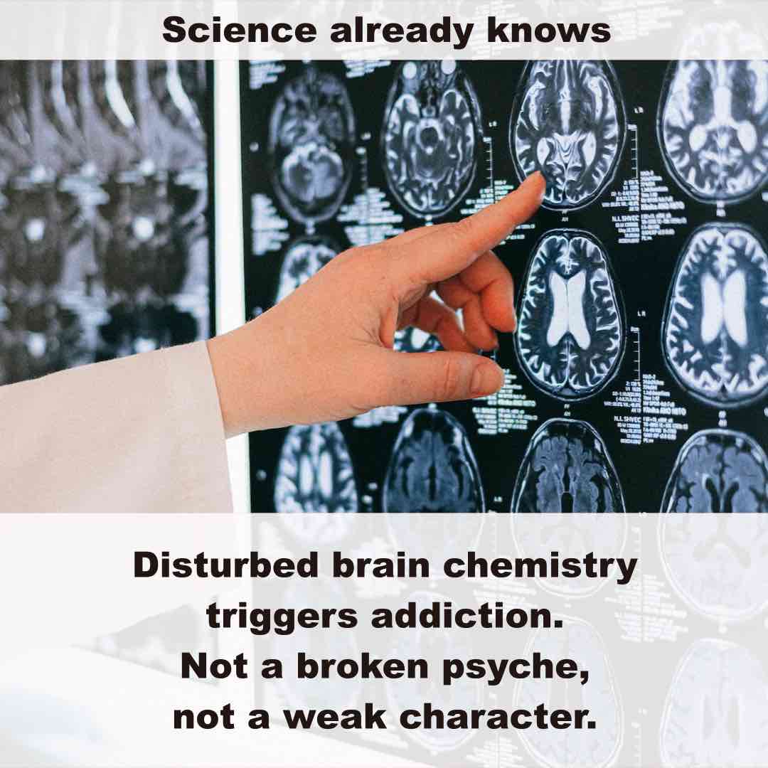 Bye, Bye, Booze | Sober Up With Science!